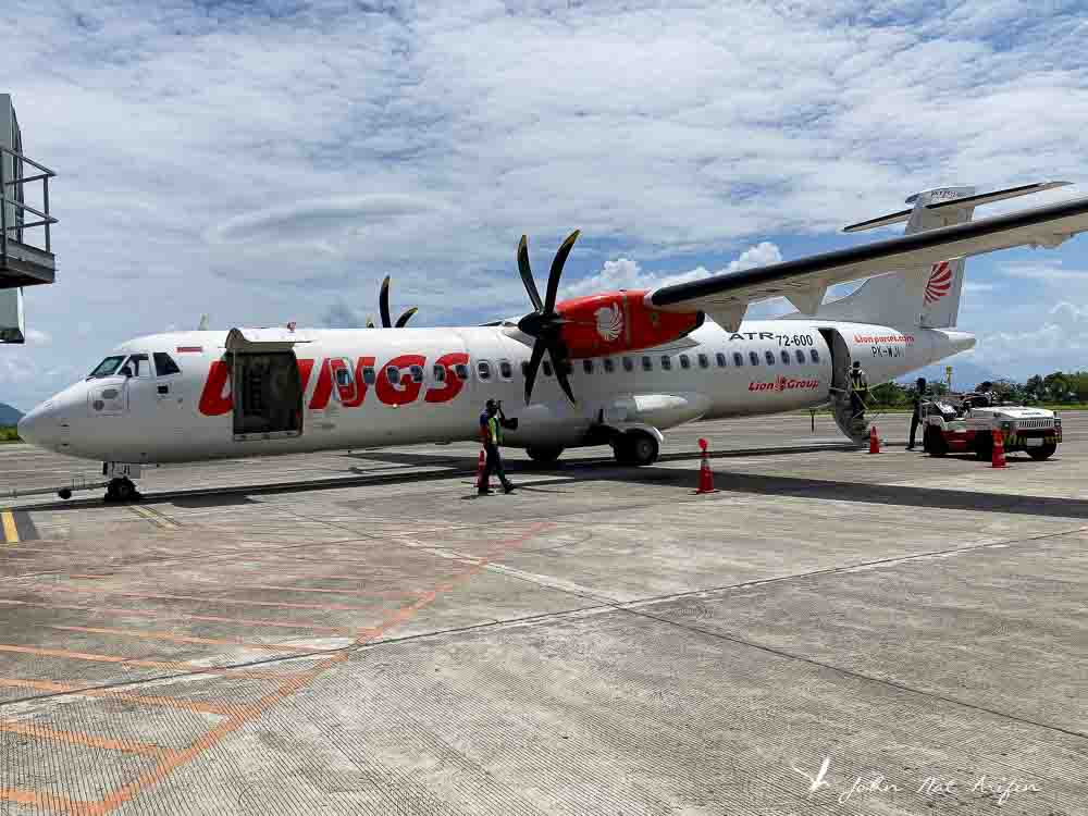 Birding Halmahera | Bird of Paradise – Photo Travel Asia. com