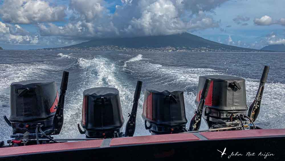 Birding Halmahera | Bird of Paradise – Photo Travel Asia. com